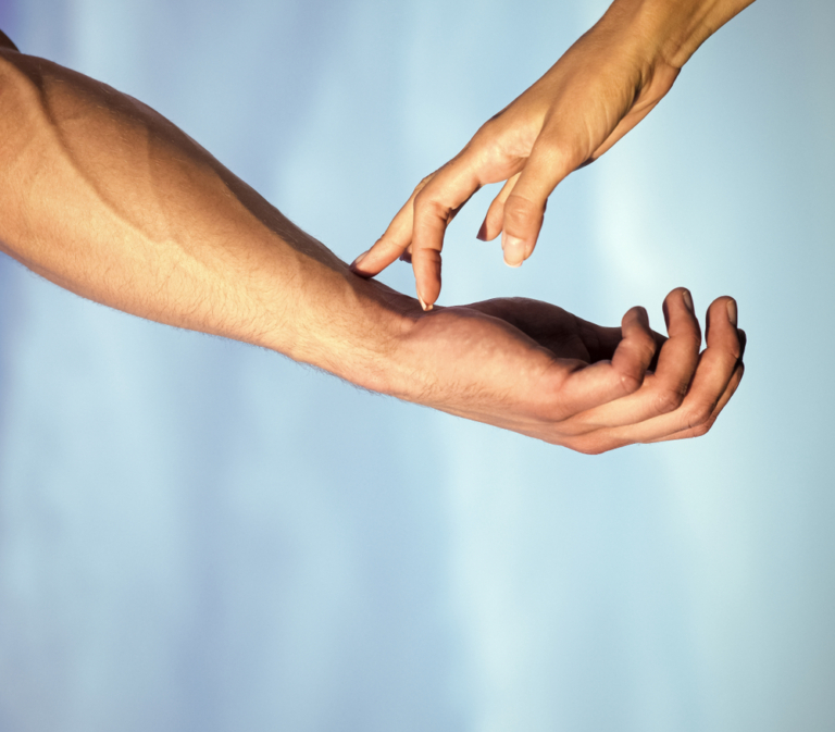 Blood Building 101: The Complete Guide to Nourishing Your Blood - welleum