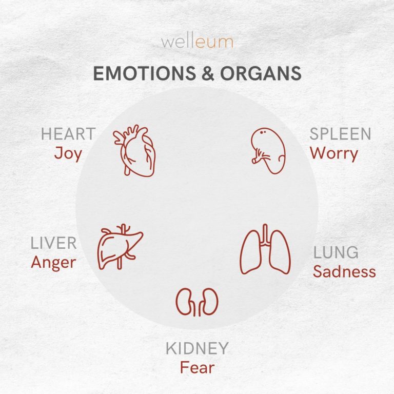 How Your Emotions Impact Your Immunity - welleum